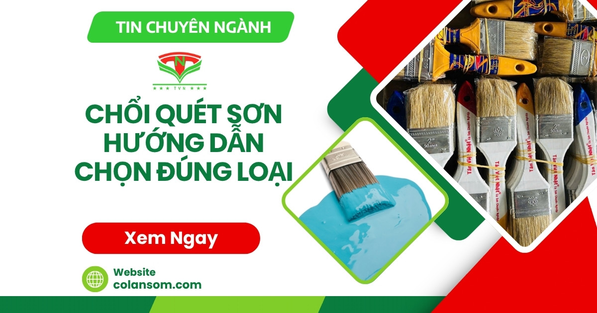 [Chia Sẻ] Hướng dẫn chọn đúng loại chổi quét sơn chuẩn nhất